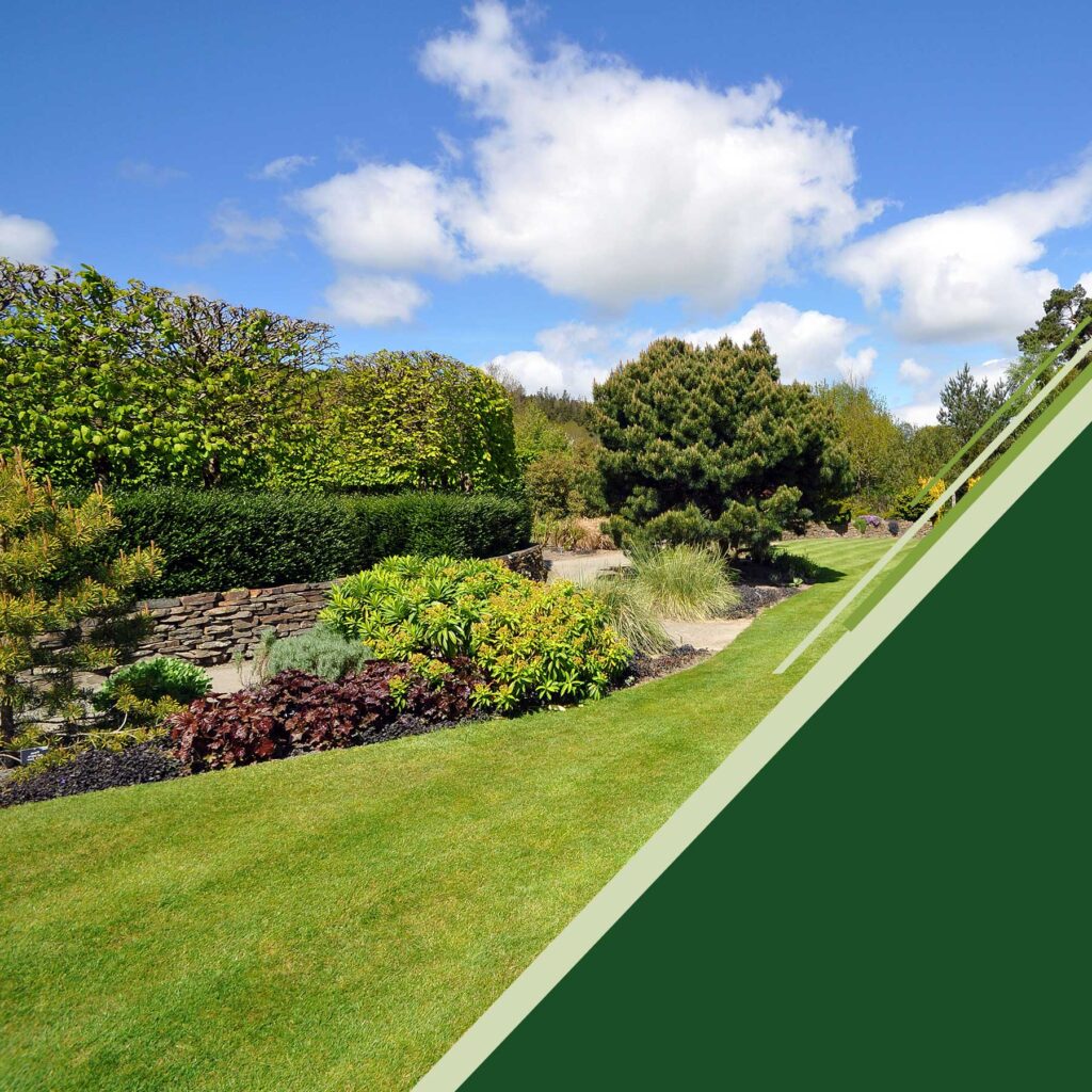 BAMS Landscaping Services in Kensington, MD